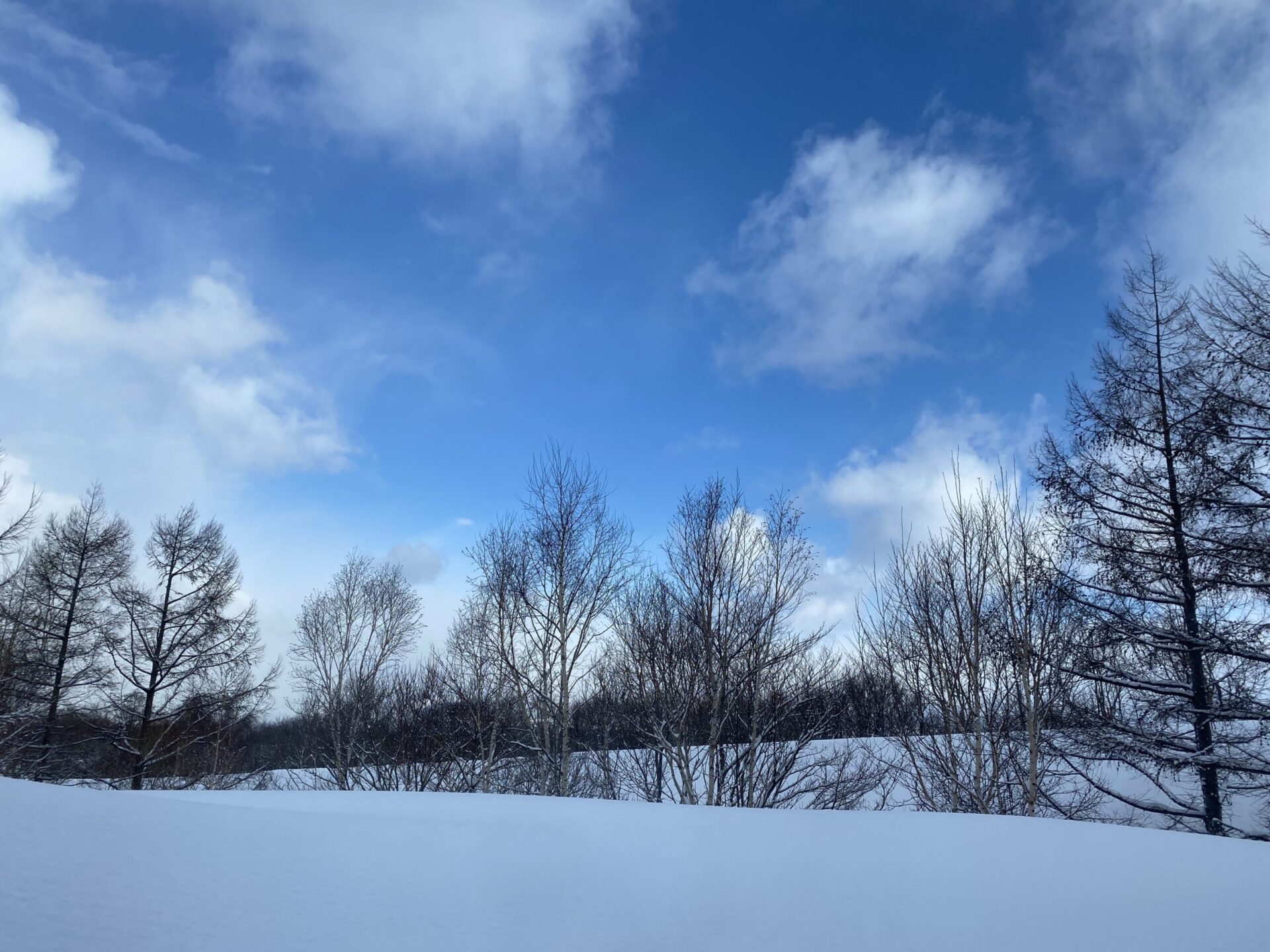 予約の取れない「いわない温泉高島旅館」の魅力をブログレビューin北海道岩内町 | PrimeTravel